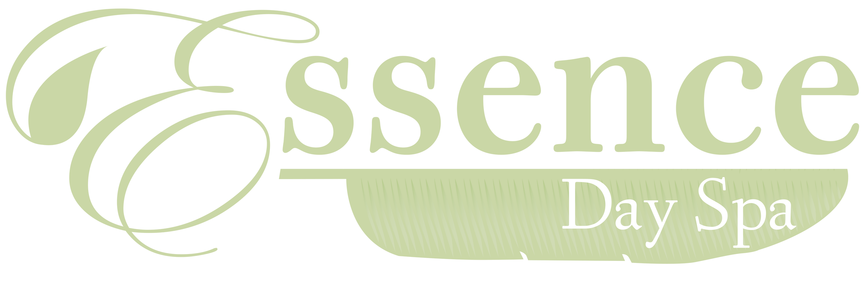 Essence Day Spa & Hair Salon